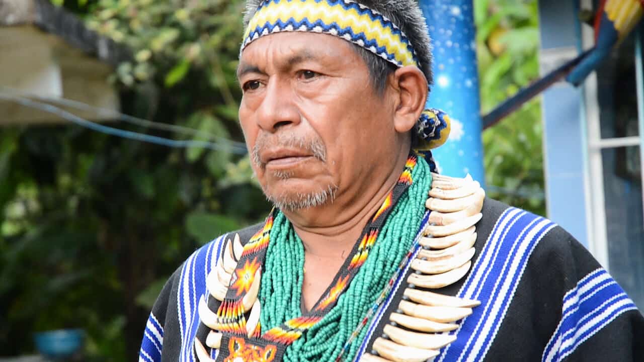 Taita Yagé, bebida ancestral - Conexión Externado